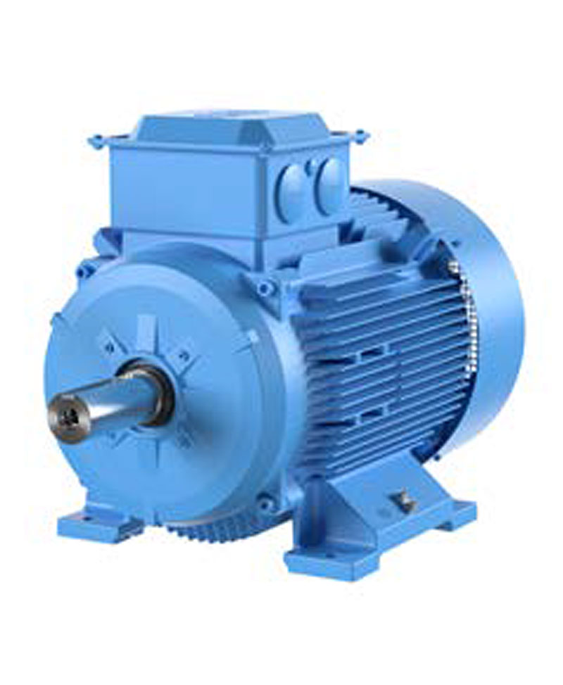 Induction Motor – Pumps UAE